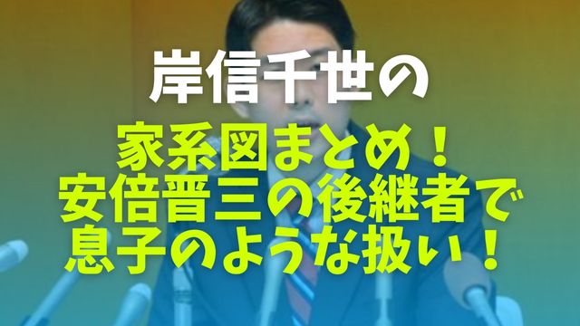 岸信千世の家系図まとめ!安倍晋三の後継者で息子みたいに扱われてた! - BoomBoomCity